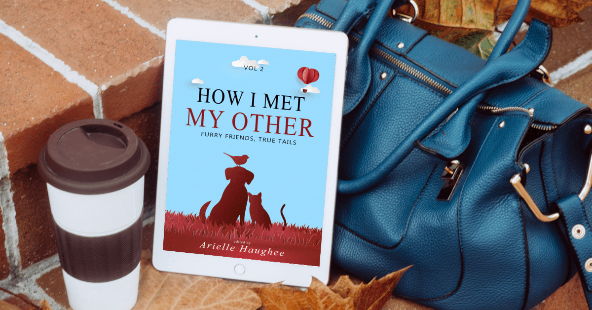Book Brush: Make Quick, Professional Book Ads | Florida Writers Association